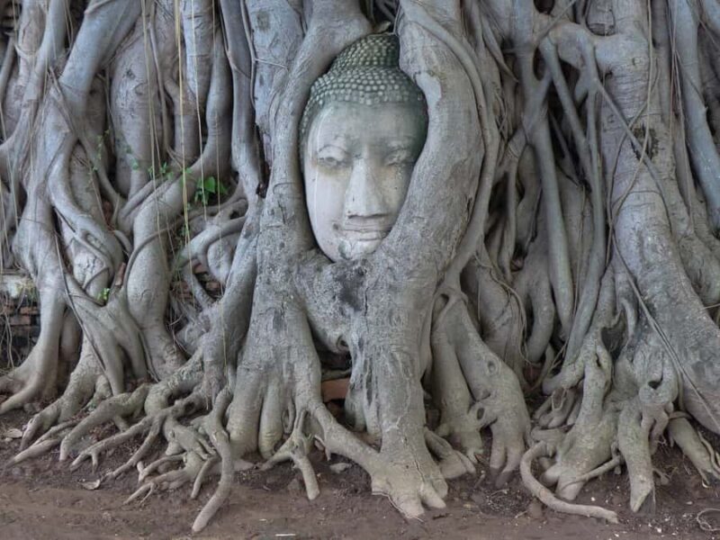 Bangkok: Ayutthaya & Local Market Tour In Spanish or English - Key Points