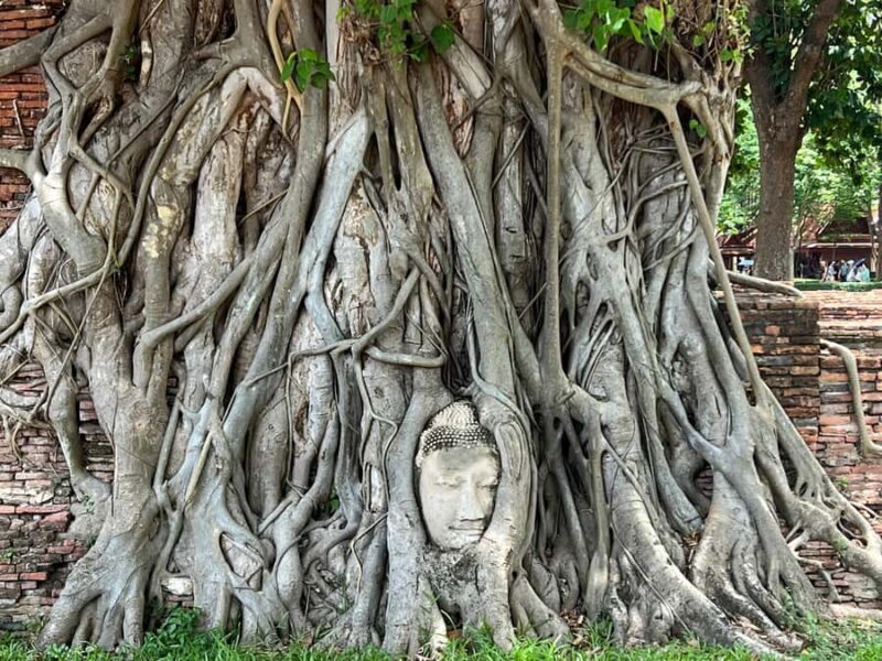 Bangkok: Ayutthaya Temples, Dessert Workshop, & Lunch - Comfort and Convenience