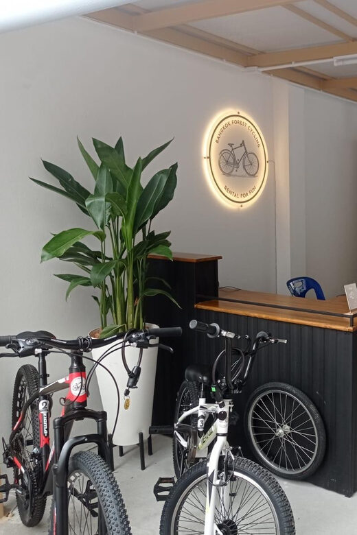 Bangkok Bicycle rental Benjakitti Park - A Practical Guide to the Bike Rental Experience