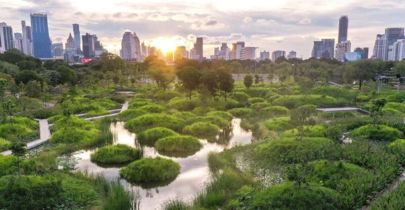 Bangkok Bicycle rental Benjakitti Park - Authentic Experiences and Real Reviews