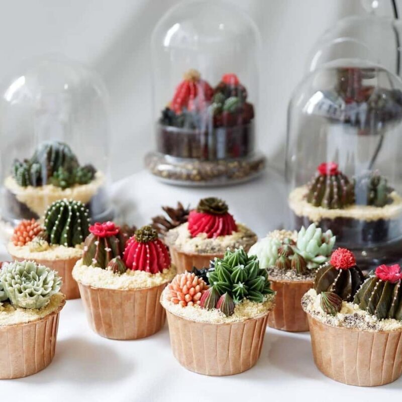 Bangkok: Cake Decorating class - Key Points