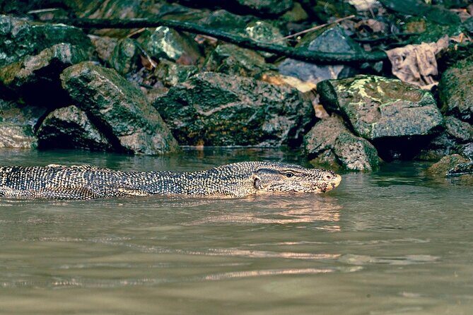 Bangkok Canal Boat Tour to Big Buddha  1 Hour Longtail Cruise - FAQ