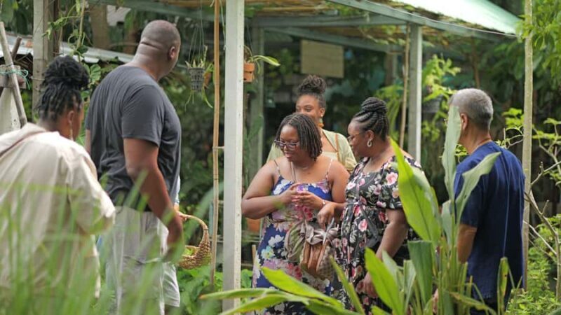 BANGKOK: Canal Tour and Cooking Fun - Analyzing the Value