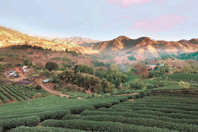 Bangkok - Chiang Mai Land Tour Min. 2 Pax required to confirm - Frequently Asked Questions