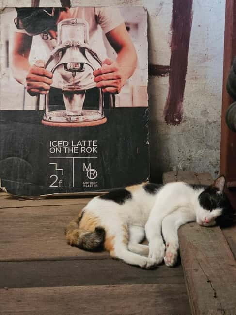 Bangkok: Chinatown Tour with Street Art, Sky Bar & Food - The Sum Up