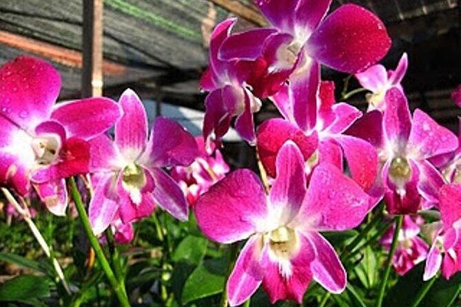 BANGKOK: Damnern Saduak Floating Market, Thai House - A Closer Look at the Tour Experience