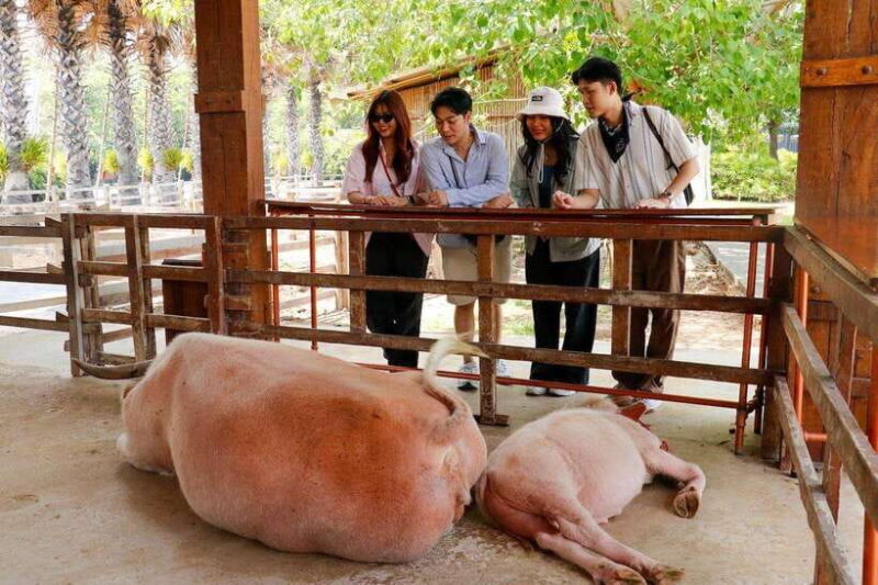 Bangkok: Damnoen Saduak and Train Market with Boat Ride - The Value of This Tour