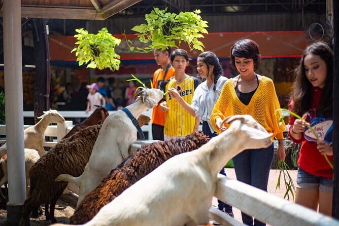 Bangkok Dream World Amusement Park & Snow Town with Transfer - Frequently Asked Questions