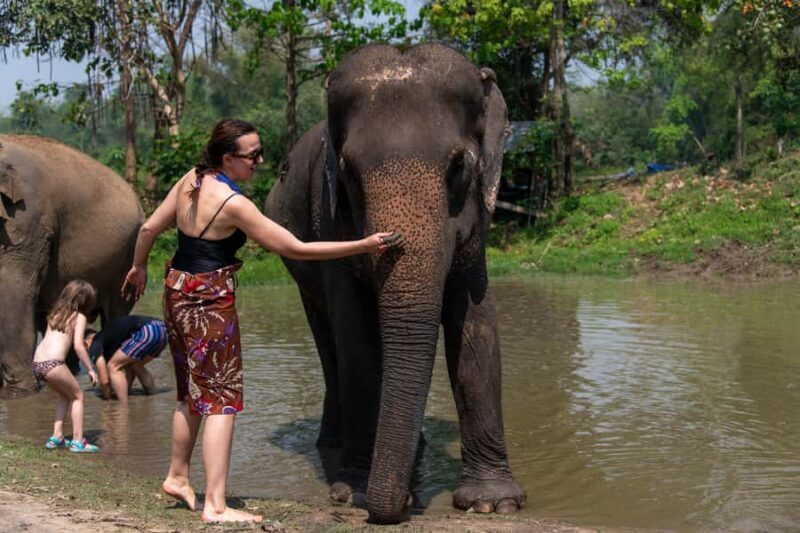 Bangkok: Elephant Sanctuary & Erawan Waterfall Tour - Introduction: Why Consider This Tour?
