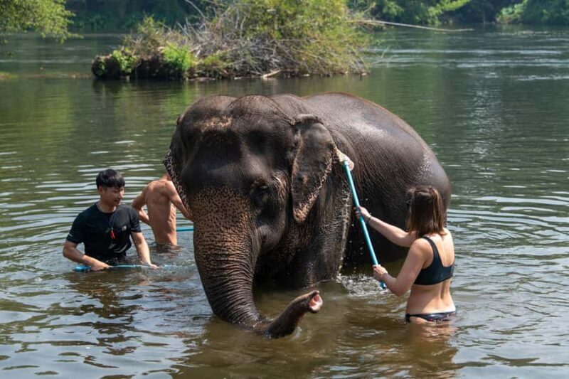Bangkok: Elephant Sanctuary & Erawan Waterfall Tour - The Experience from the Reviews: Authenticity and Quality