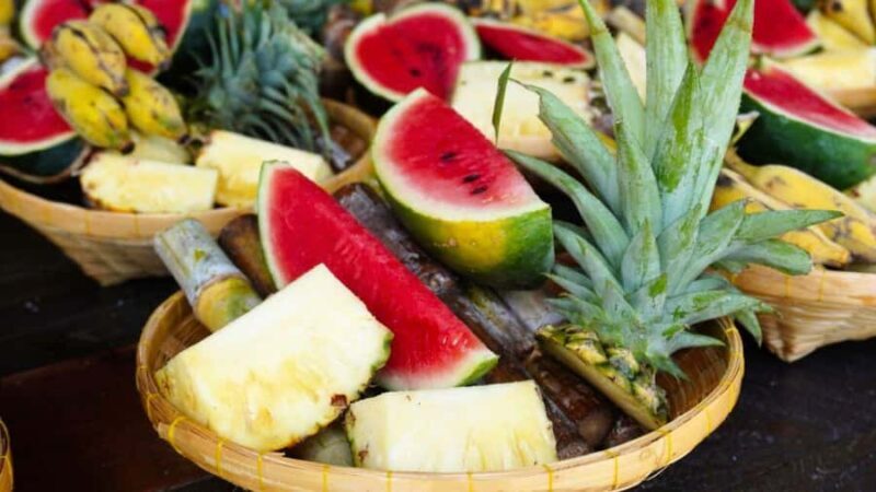 Bangkok: Elephant Sanctuary Guided Tour with Hotel Transfers - The Sum Up