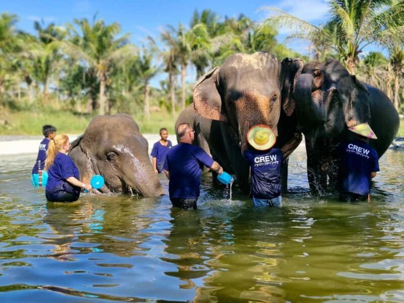 Bangkok: Elephant Sanctuary &Khao Kheow Open Zoo (Moodeng) - The Sum Up