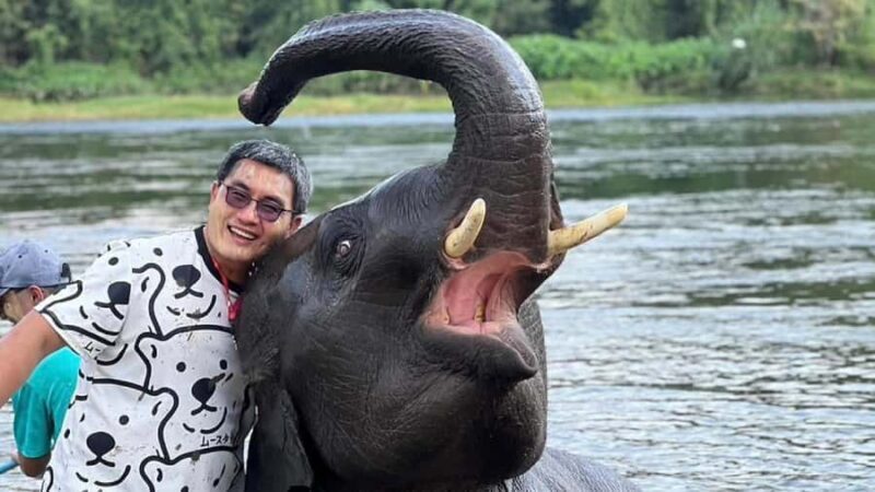 Bangkok: Elephants World & Erawan Waterfall in Kanchanaburi - Summing Up