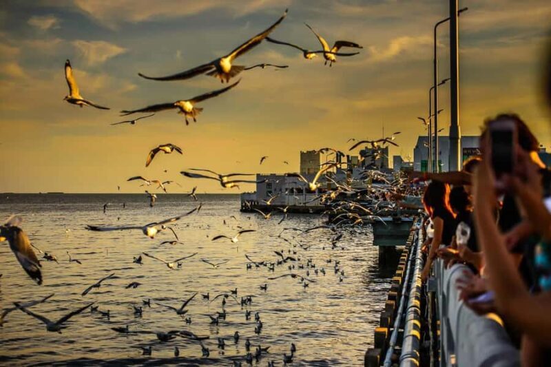 Bangkok Erawan Museum, Ancient City & Bang Pu Private Trip - An Introduction to the Tour