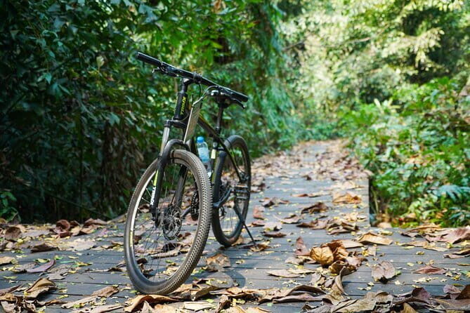 Bangkok Green Oasis Nature Bike Tour - What Could Be Better?