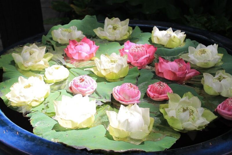 Bangkok: Jim Thompson House and Baan Krua Community Tour - Practical Information and Value