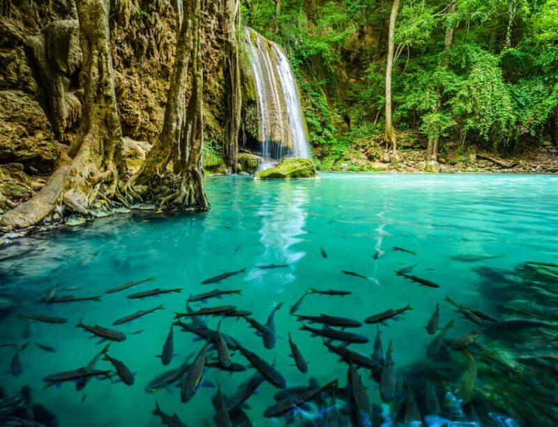 Bangkok: Kanchanaburi, River Kwai & Erawan Fall Private Tour - Analyzing the Value