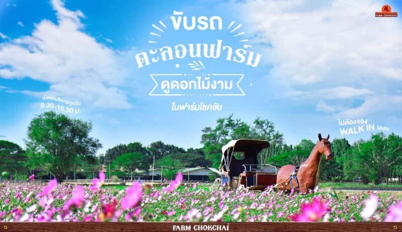 Bangkok: Khao Yai 2-Day Private Tour - Final Thoughts