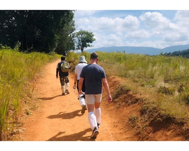 Bangkok: Khao Yai Nature Trails & Heaw Suwat Waterfall - Exploring the Khao Yai Nature Trails & Heaw Suwat Waterfall: A Practical Guide