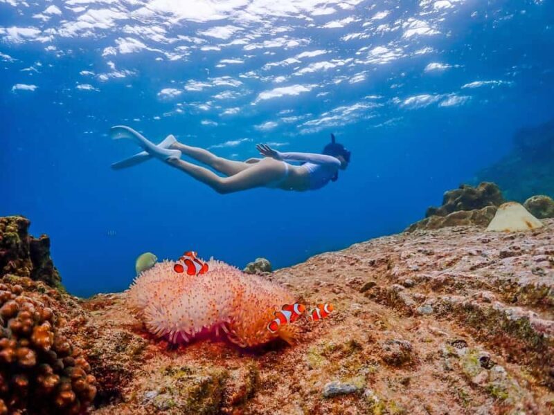 Bangkok: Nemo Island Day Trip with Drone Photos and Lunch - What You Can Expect in Practice