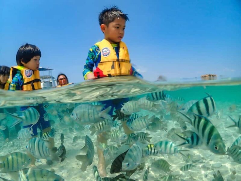 Bangkok: Nemo Island Day Trip with Drone Photos and Lunch - The Sum Up