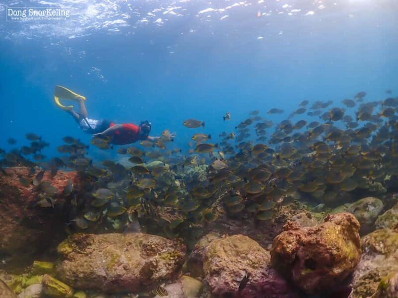 Bangkok: Nemo Island Day Trip with Drone Photos and Lunch - FAQ