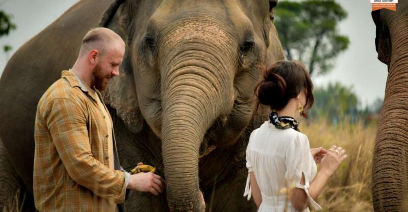 Bangkok: Pattaya Elephant Jungle Sanctuary Half-Day Tour - Final Thoughts