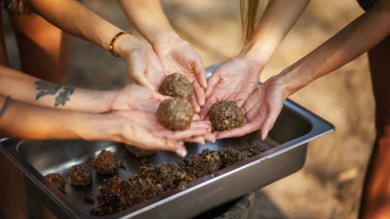 Bangkok: Pattaya Elephant Jungle Sanctuary Half-Day Tour - FAQ