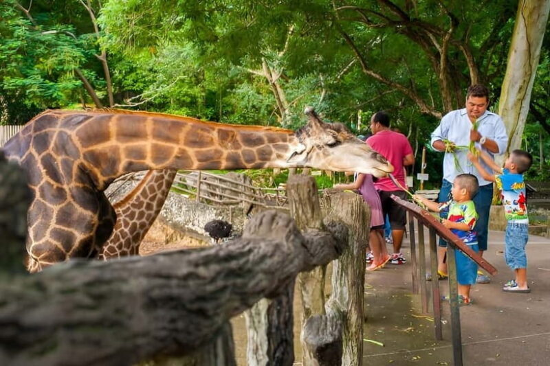 Bangkok/Pattaya: Khao Kheow Zoo Private Tour with Pickup - Key Points