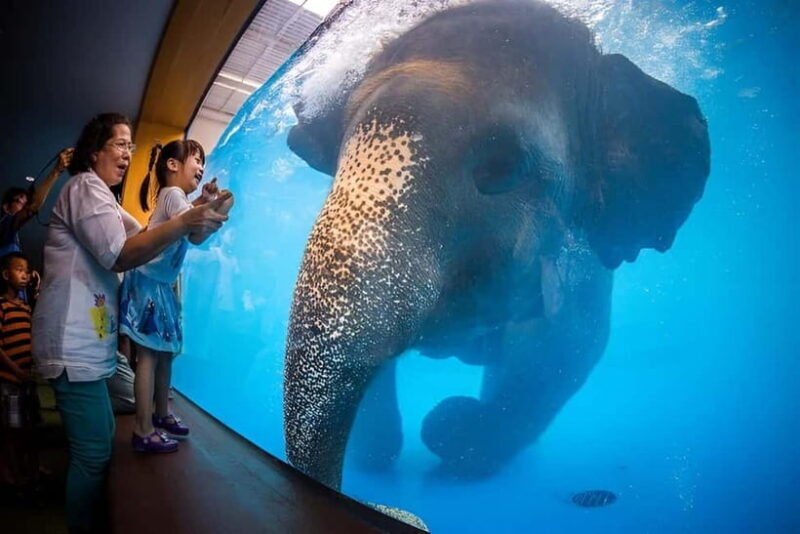 Bangkok/Pattaya: Khao Kheow Zoo Private Tour with Pickup - Real Traveller Experiences and Insights