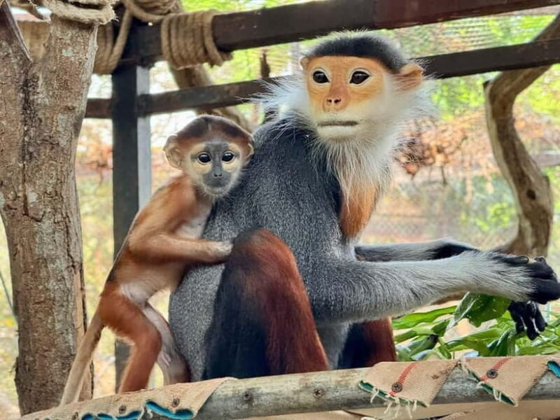 Bangkok/Pattaya: Khao Kheow Zoo Private Tour with Pickup - In-Depth Breakdown of the Experience