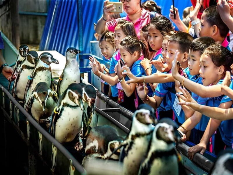 Bangkok/Pattaya: Khao Kheow Zoo Private Tour with Pickup - Final Thoughts