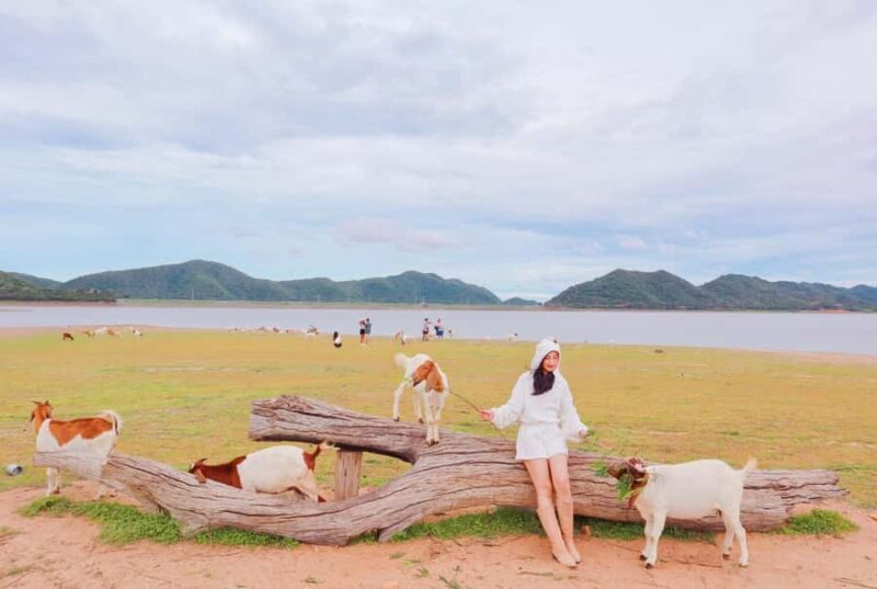 Bangkok: Pranburi Dam, Goat Feeding, and Lunch Day Trip - A Detailed Look at the Tour Experience