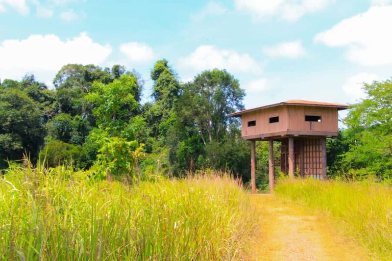 Bangkok: Private & Customizable Khao Yai National Park Tour - Final Thoughts