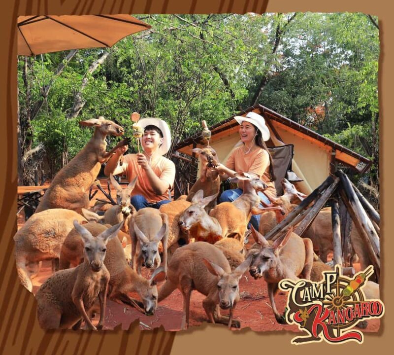 Bangkok: Private Family Tour to Safari & River Dinner Cruise - Who Is This Tour Best For?