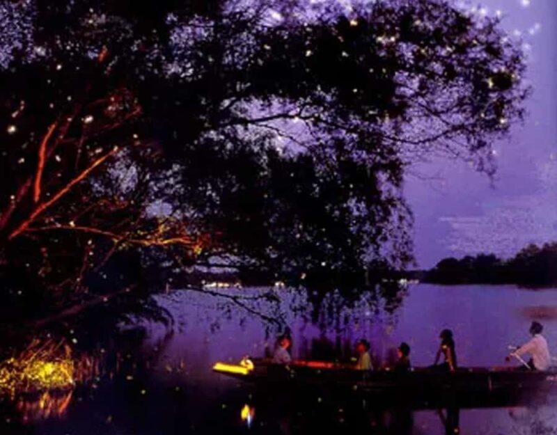 Bangkok: Private Firefly Night Cruise & Floating Market Tour - The Sum Up