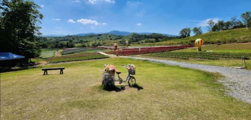 Bangkok: Private Khao Yai Day Tour - Introduction
