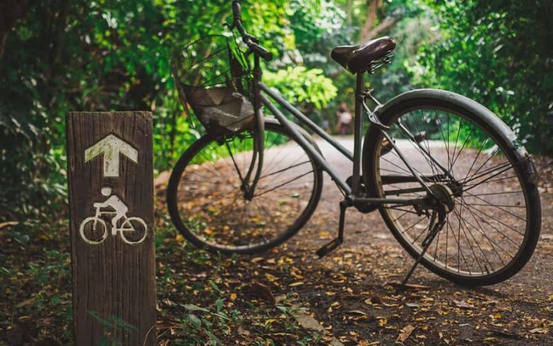 Bangkok: Private Tour Bang Kachao and Bang Nam Phueng - A Genuine Look at the Tour Experience