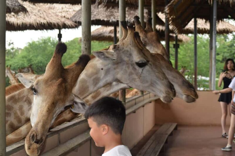 Bangkok Safari & Marine Park - Key Points