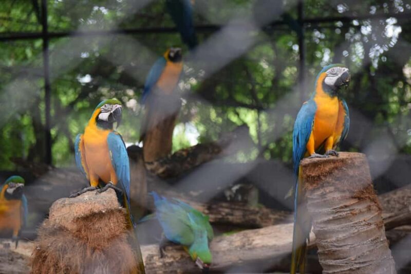 Bangkok Safari & Marine Park - The Experience at a Glance