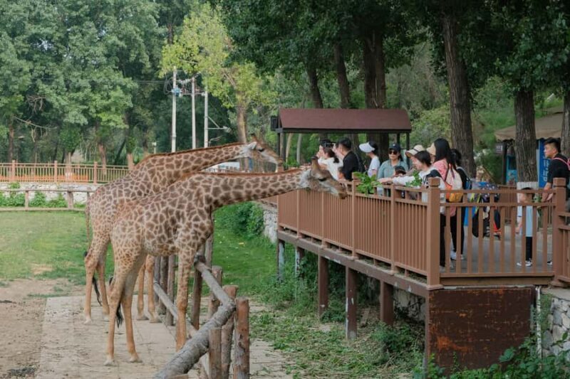 Bangkok Safari & Marine Park - Practical Tips for Visitors