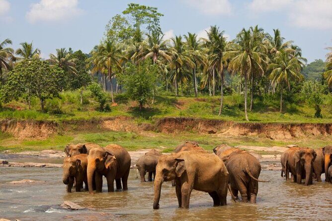 Bangkok: Safari world & Marine park - Easy and Comfortable Pickup