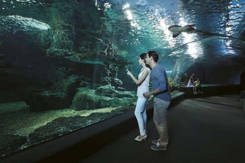 Bangkok: SEA LIFE Bangkok & Madame Tussauds Entry Ticket - Key Points