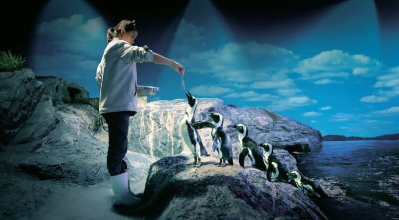 Bangkok: SEA LIFE Bangkok Ocean World Entry Ticket - Key Points