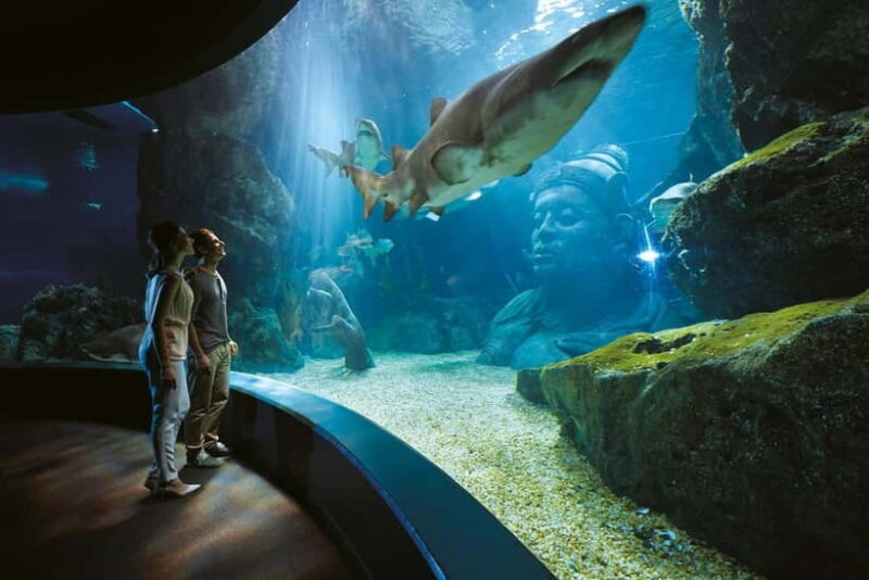 Bangkok: SEA LIFE Bangkok Ocean World Entry Ticket - An In-Depth Look at the Experience