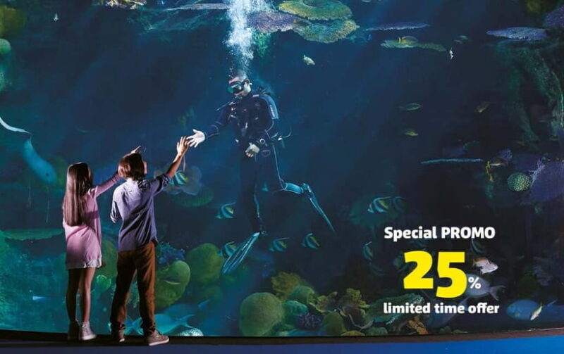 Bangkok: SEA LIFE Bangkok Ocean World Entry Ticket - What Could Be Better?