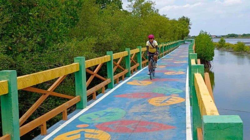 Bangkok: Seaside Views Cycling Tour via Mangrove Tunnel - Key Points