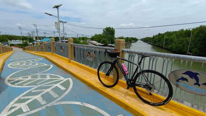 Bangkok: Seaside Views Cycling Tour via Mangrove Tunnel - An Honest Look at the Experience