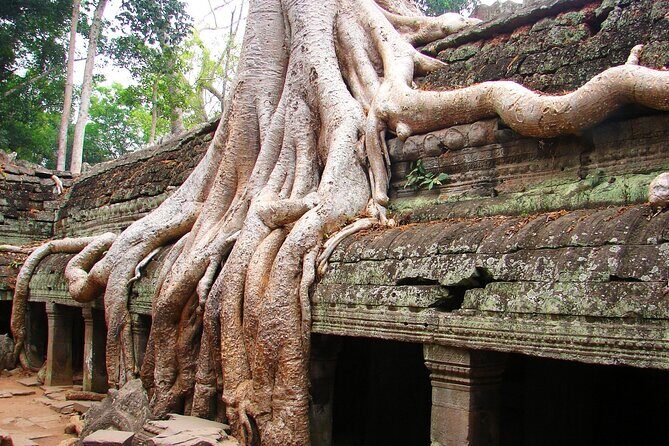 Bangkok to Angkor Wat 2 Days 1 Night Go by car Return by Flight - Practical Details and Considerations