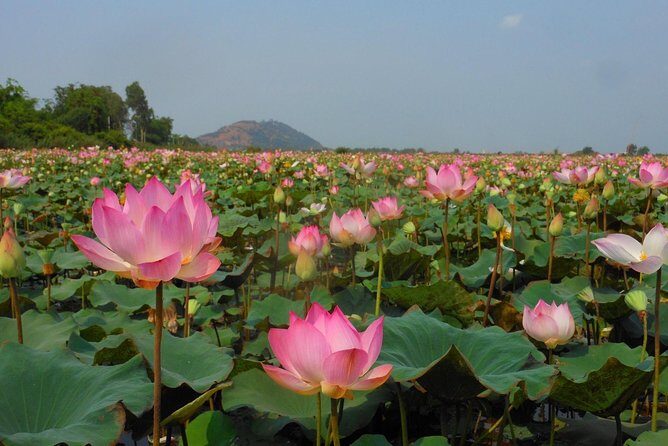 Bangkok to Angkor Wat 2 Days 1 Night tour go by Flight and Take car back - Key Points